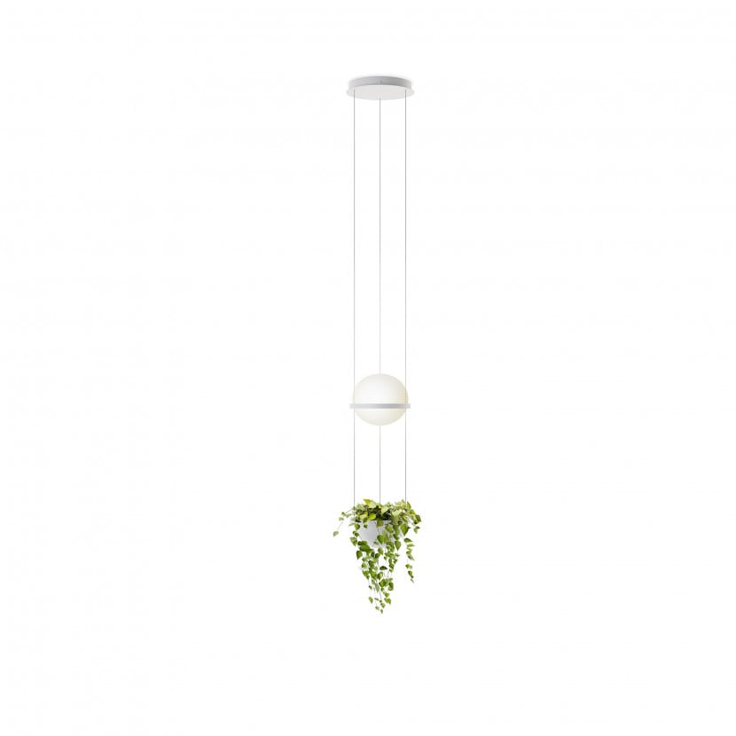 Vibia Palma LED Pendant - 3724